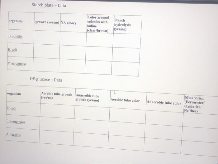 Solved Starch plate-Data organism growth (yes/no) NA colors | Chegg.com