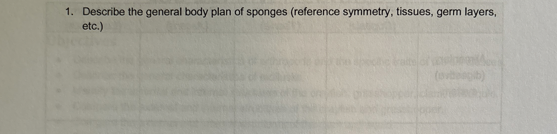 Solved Describe the general body plan of sponges (reference | Chegg.com