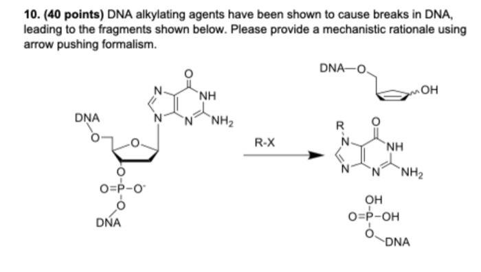 Solved 10. (40 points) DNA alkylating agents have been shown | Chegg.com