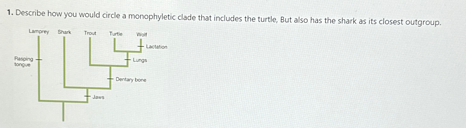 Solved Describe how you would circle a monophyletic clade | Chegg.com