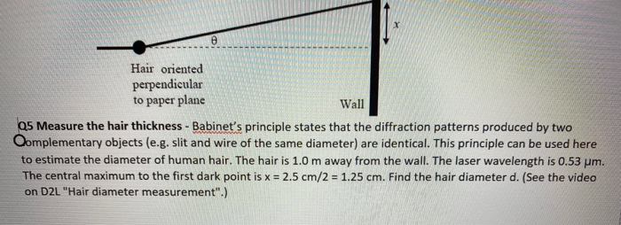 Solved Hair oriented perpendicular to paper plane Wall Q5 | Chegg.com