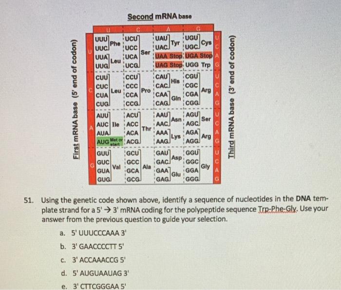 Solved Second mRNA base First mRNA base (5' end of codon) C | Chegg.com