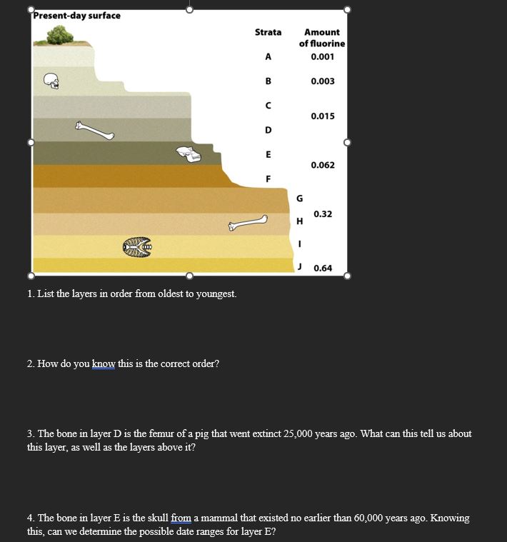 List the layers in order from oldest to youngest.How | Chegg.com