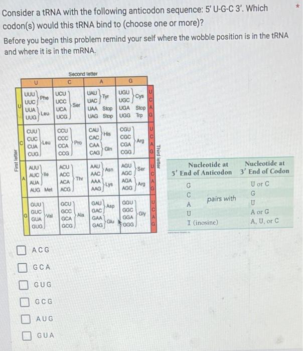 Solved Consider a tRNA with the following anticodon | Chegg.com