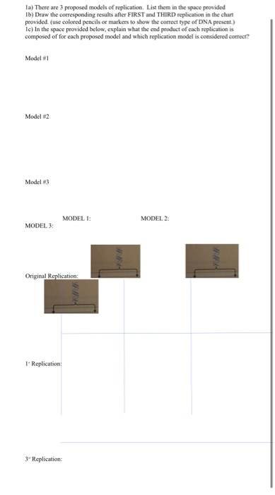 Solved la) There are 3 proposed models of replication. List | Chegg.com