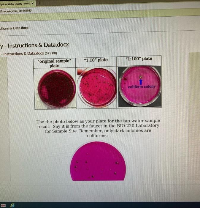 LAB REPORT - WATER QUALITY-COLIFORM COUNT NAME: | Chegg.com