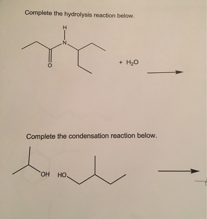 Solved Complete the hydrolysis reaction below. + H2O | Chegg.com