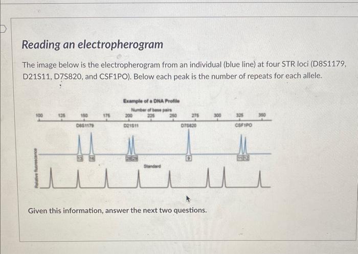 Solved Which of the STR has the longest DNA fragment and how | Chegg.com