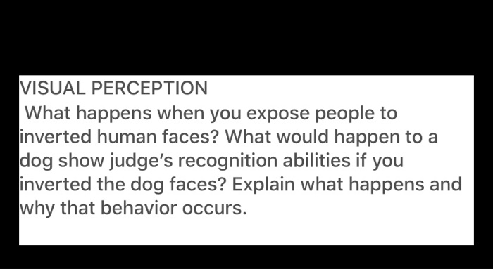 Solved VISUAL PERCEPTION What happens when you expose people | Chegg.com