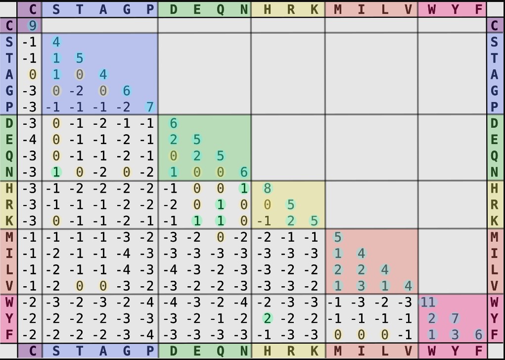 Solved 1. ﻿Using BLOSUM62, ﻿list the three amino acid | Chegg.com