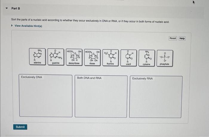 Solved Part B Sort the parts of a nucleic acid according to | Chegg.com