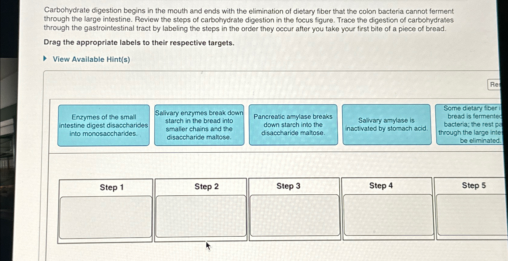 Solved Carbohydrate digestion begins in the mouth and ends | Chegg.com