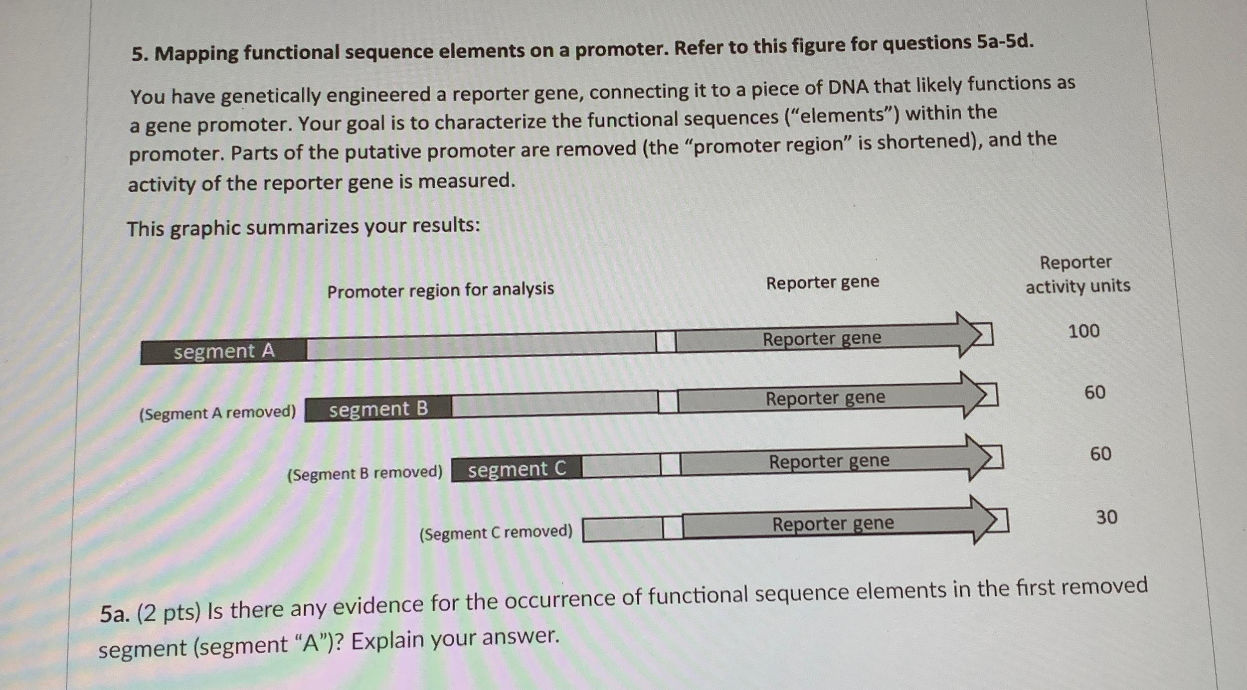 Solved Mapping functional sequence elements on a promoter. | Chegg.com