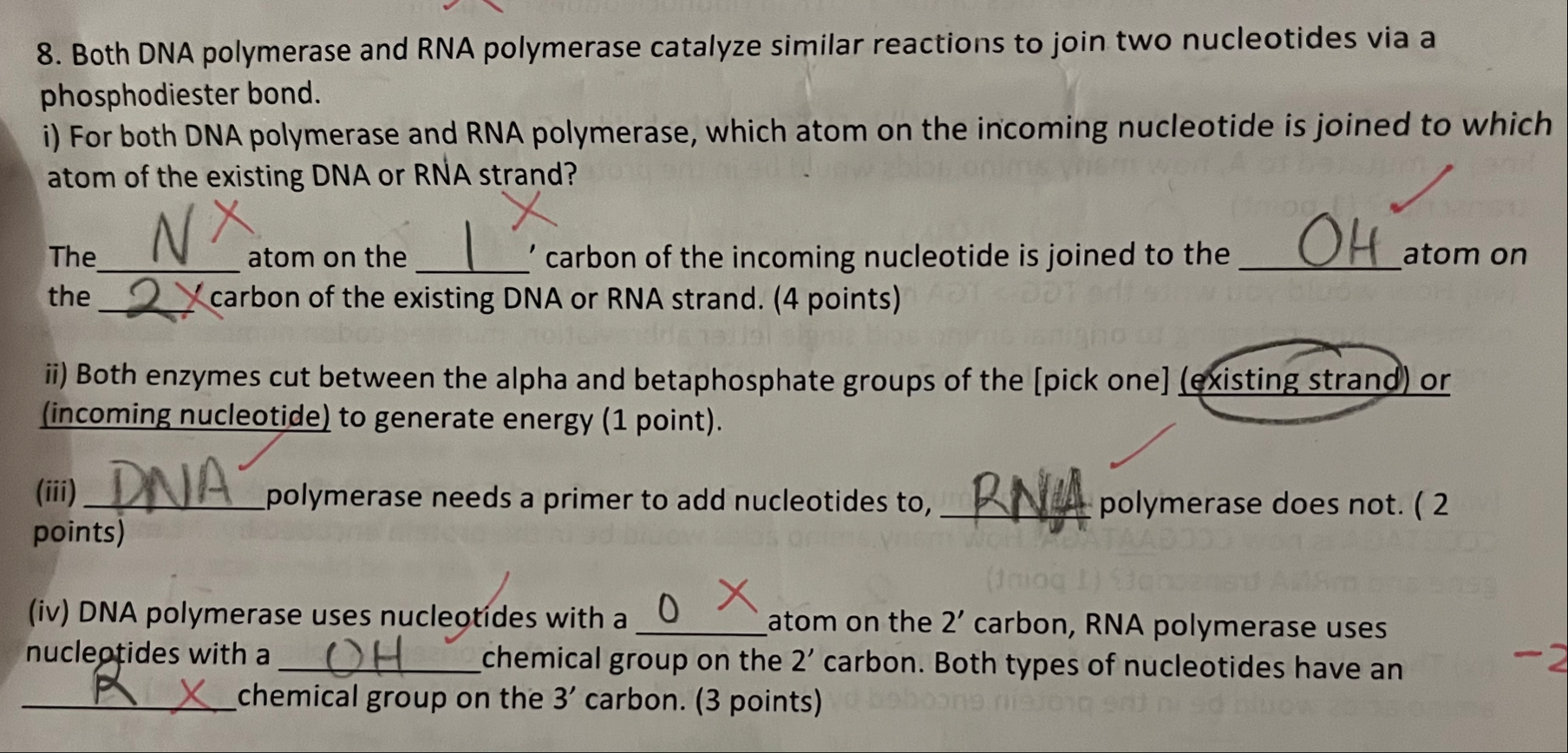 Solved Both DNA polymerase and RNA polymerase catalyze | Chegg.com