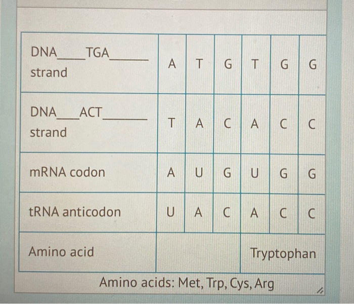 Solved Identify the type of mutation and how it would affect | Chegg.com