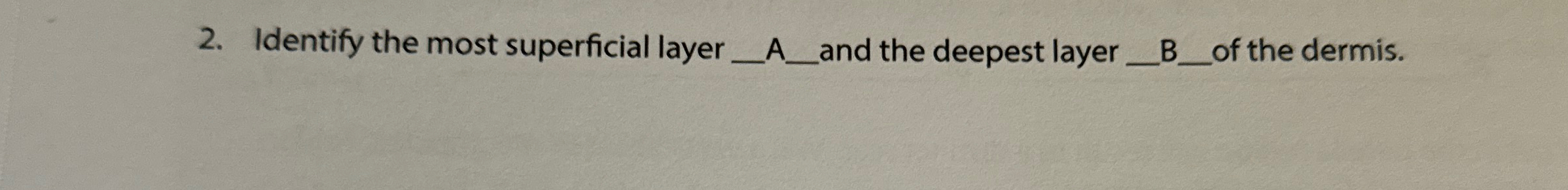 Solved Identify the most superficial layer and the deepest | Chegg.com