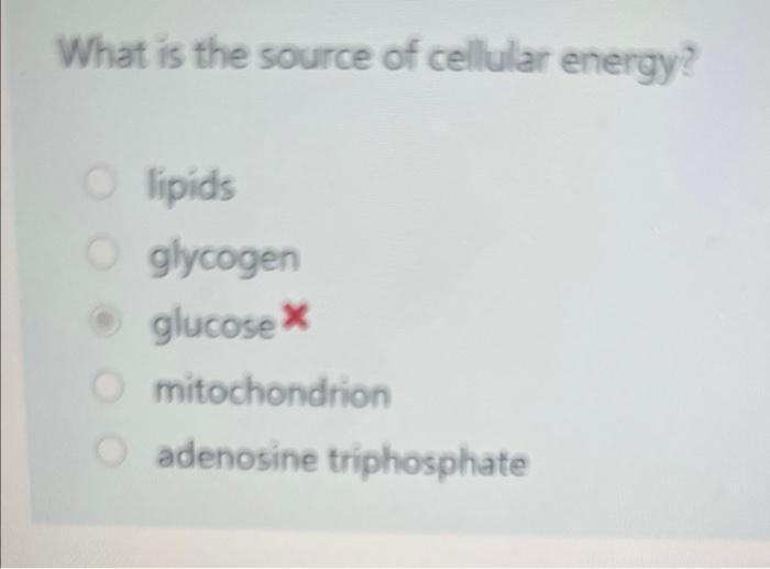 Solved What is the source of cellular energy? lipids | Chegg.com