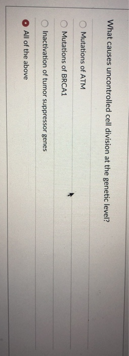 Solved What causes uncontrolled cell division at the genetic | Chegg.com
