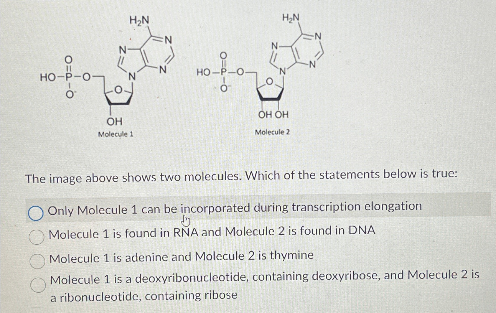 Solved Molecule 1Molecule 2The image above shows two | Chegg.com