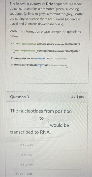 Solved The following eukaryotic DNA sequence is a made up | Chegg.com