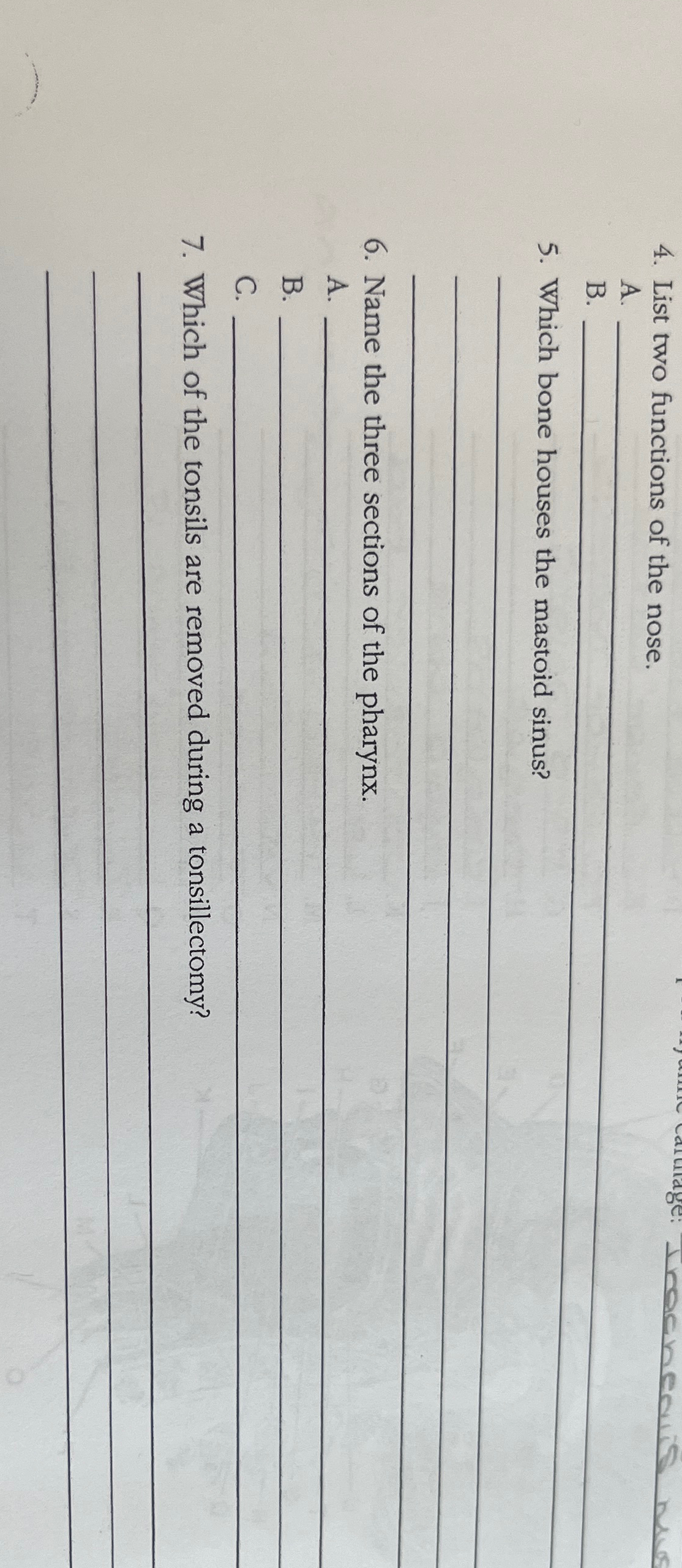 Solved List two functions of the nose.A.B.Which bone houses | Chegg.com