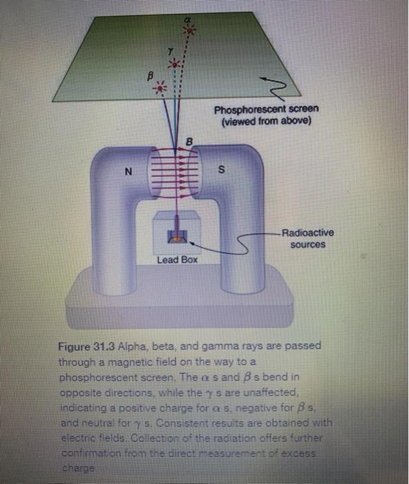 Solved 2 Phosphorescent screen (viewed from above) B N S | Chegg.com