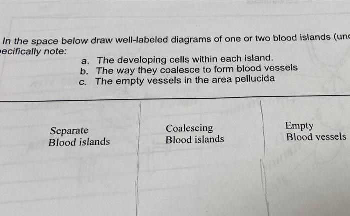 Solved In the space below draw well-labeled diagrams of one | Chegg.com