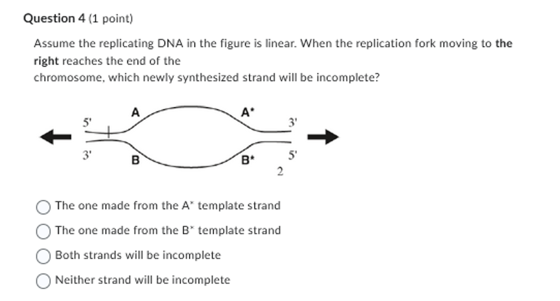 Solved Question 4 (1 ﻿point)Assume the replicating DNA in | Chegg.com