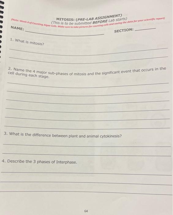 Solved (Noter Wee NAME: MITOSIS: (PRE-LAB ASSIGNMENT) NAME: | Chegg.com