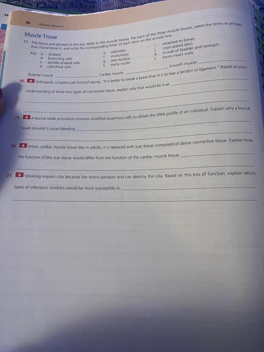 Solved REVIEW SHEET EXERCISE Classification of Tissues 6. | Chegg.com