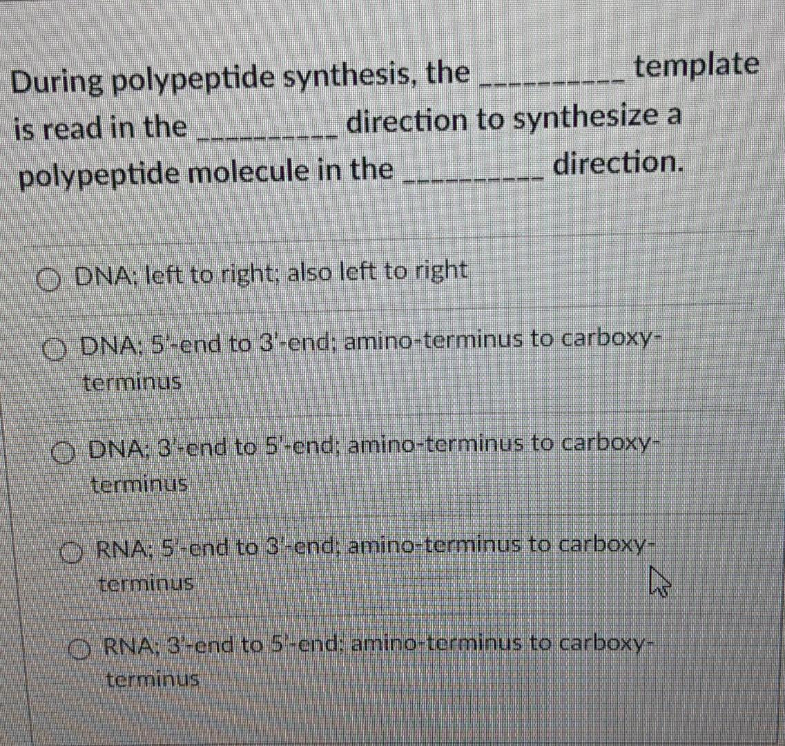 Solved During polypeptide synthesis, the template is read in | Chegg.com