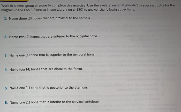 Solved 130 LAB 5 Introduction to the Skeleton LAB 5 EXERCISE | Chegg.com