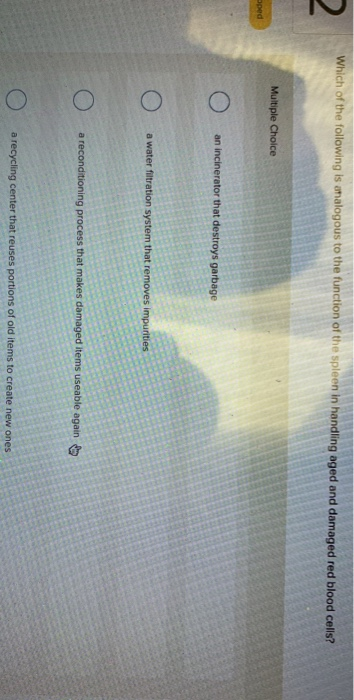 Solved Which of the following is analogous to the function | Chegg.com