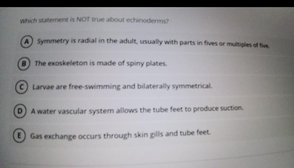 Solved Which statement is NOT true about echinoderms? A | Chegg.com