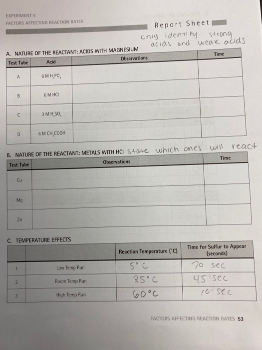 Solved strong EXPERIMENT 5 FACTORS AFFECTING REACTION RATES | Chegg.com
