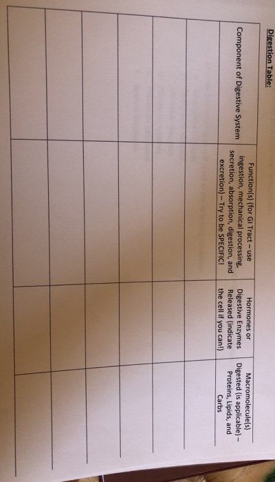 Solved Digestion Table: Component of Digestive System | Chegg.com