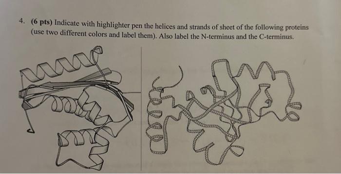 Solved Indicate with highlighter pen the helices and strands | Chegg.com