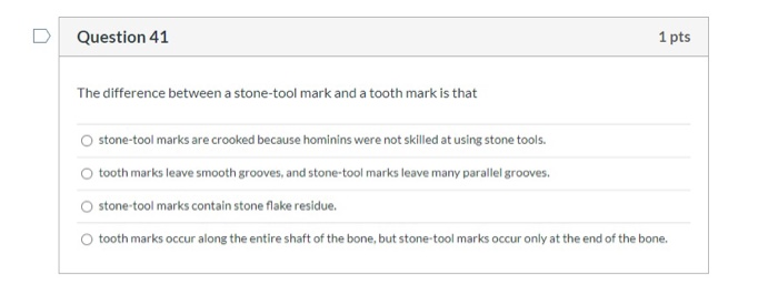 Solved Question 41 1 pts The difference between a stone-tool | Chegg.com