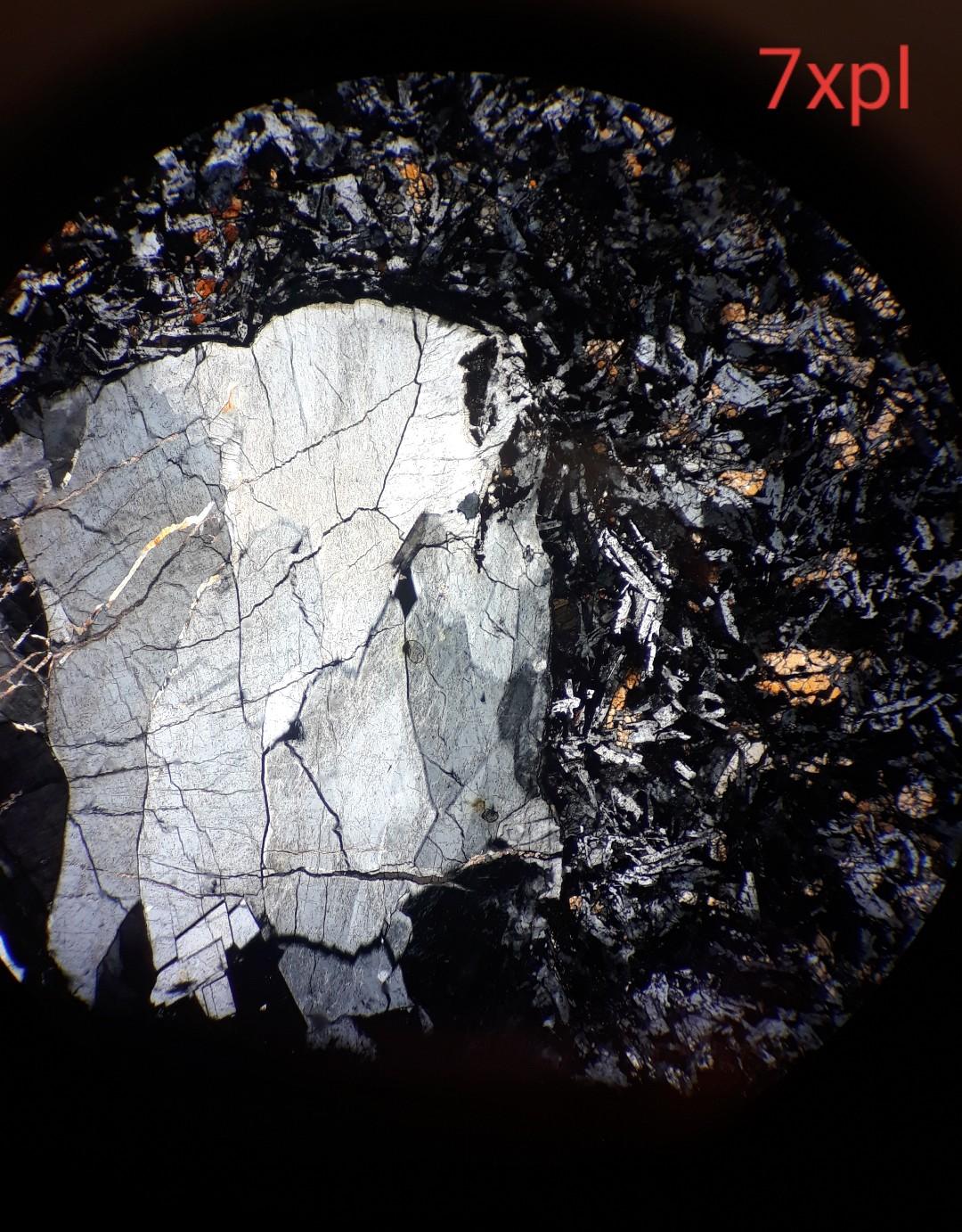 Solved every thin section is captured in plain and cross | Chegg.com