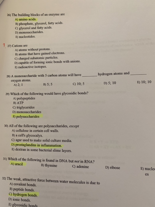 Solved 26) The building blocks of an enzyme are A) amino | Chegg.com