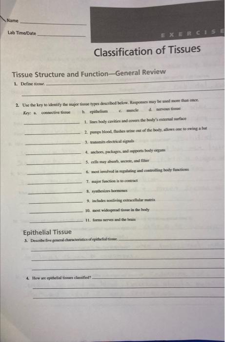 Solved Tissue Structure And Function General Review 1