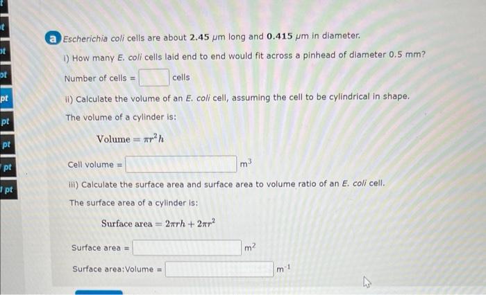 Solved Escherichia coli cells are about 2.45μm long and | Chegg.com
