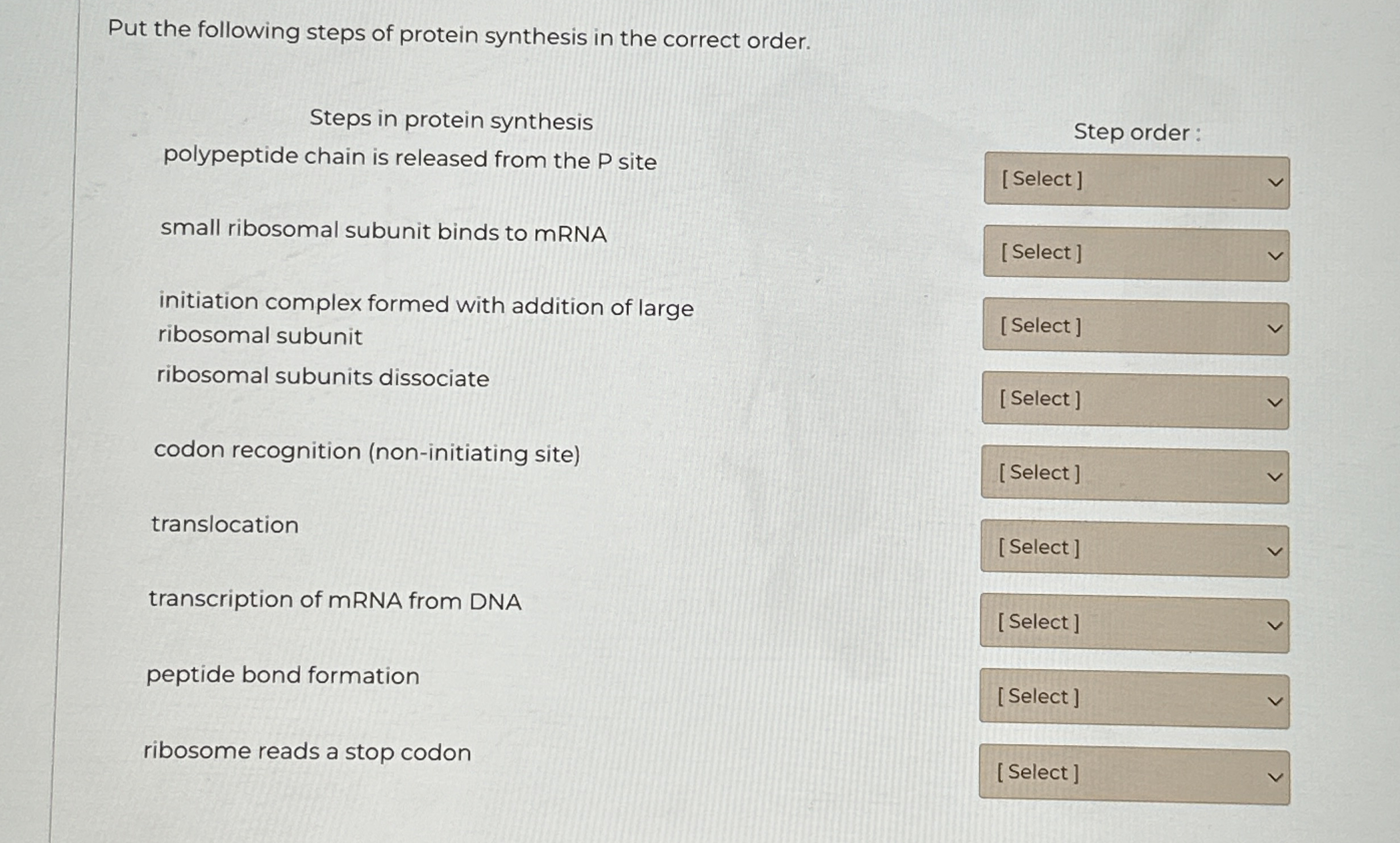 Solved Put the following steps of protein synthesis in the | Chegg.com