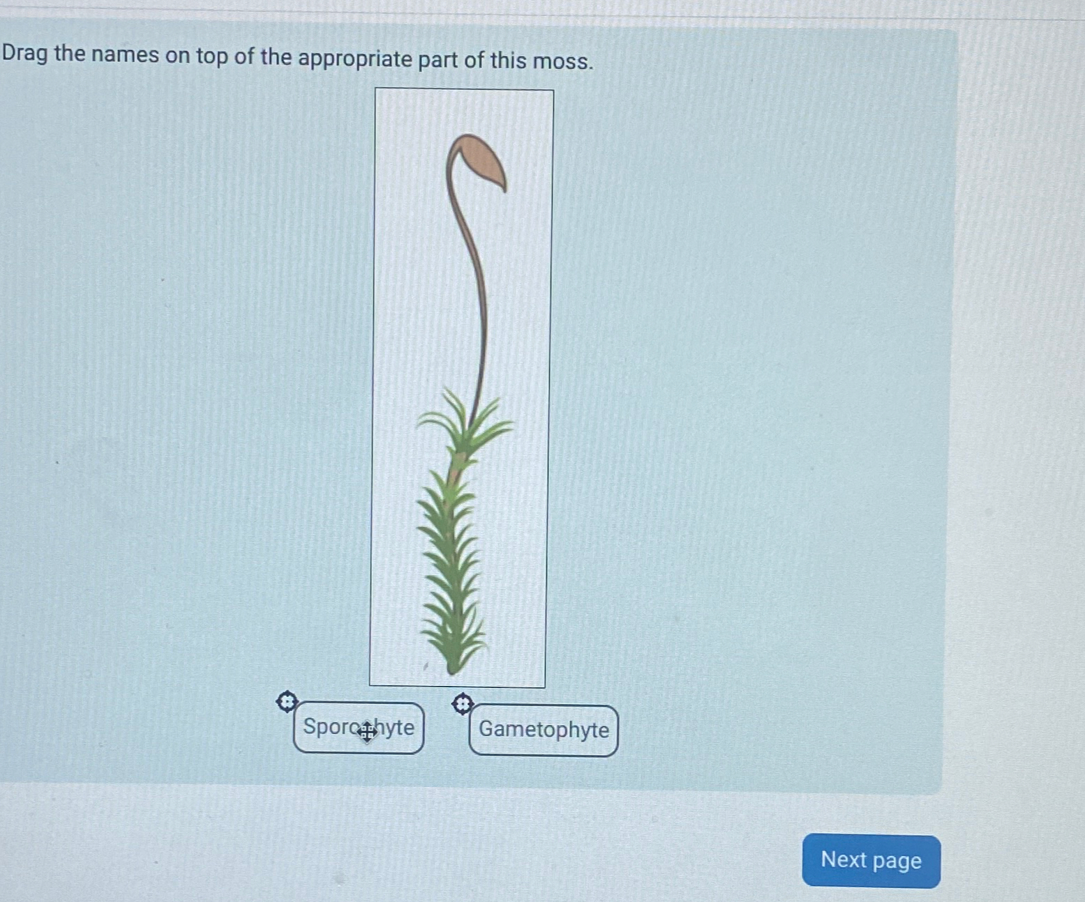 Solved Drag the names on top of the appropriate part of this | Chegg.com