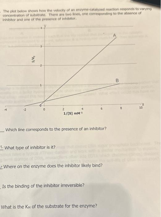 Solved The plot below shows how the velocity of an | Chegg.com