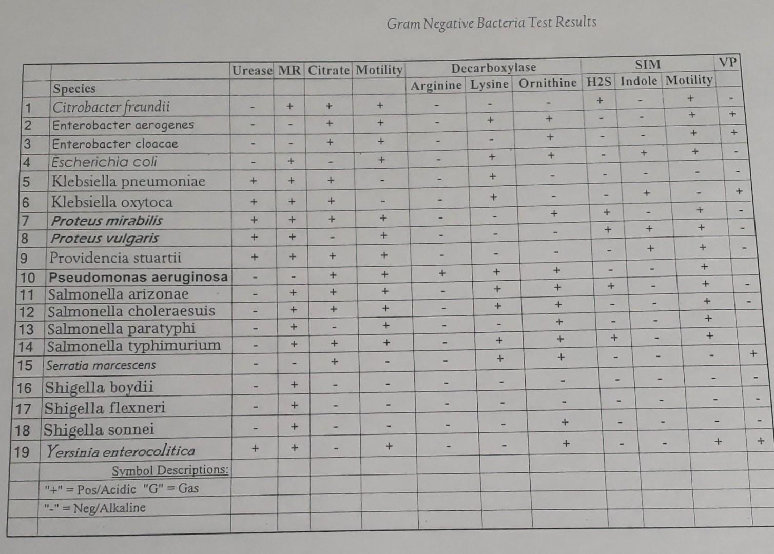 Flowchart #2 (5pts) Gram Negative Lactose Fermenters | Chegg.com