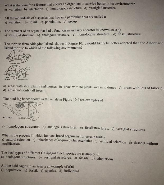 Solved 1. What is the term for a feature that allows an | Chegg.com