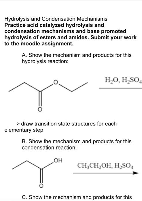 Solved Hydrolysis and Condensation Mechanisms Practice acid | Chegg.com