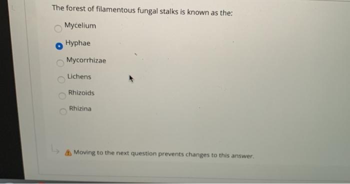 Solved The forest of filamentous fungal stalks is known as | Chegg.com