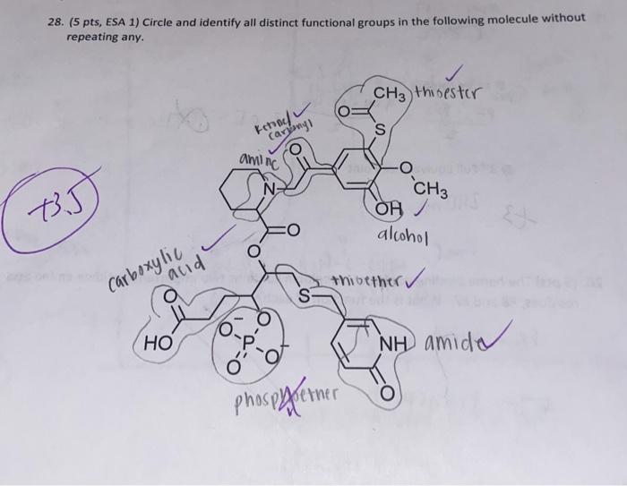 Solved 24. (8 pts) Draw the structure of the tetrapeptide | Chegg.com